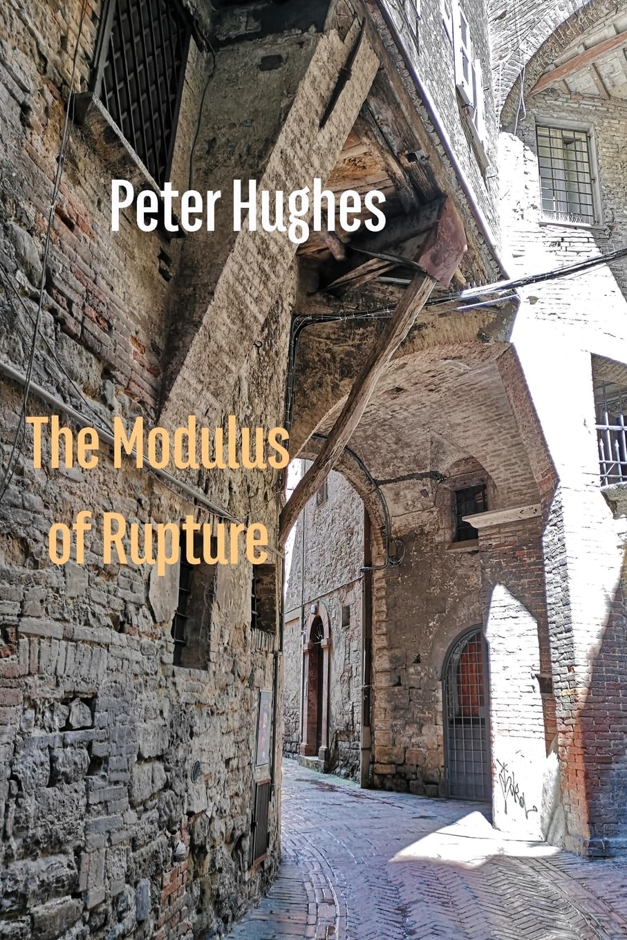 Buy The Modulus of Rupture Book Online at Low Prices in India | The ...