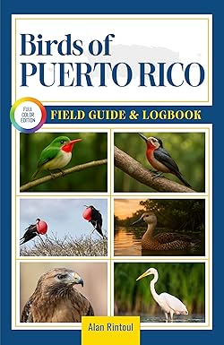 Amazon.com: Birds of Puerto Rico Field Guide: An Essential Birdwatching Guide with ...