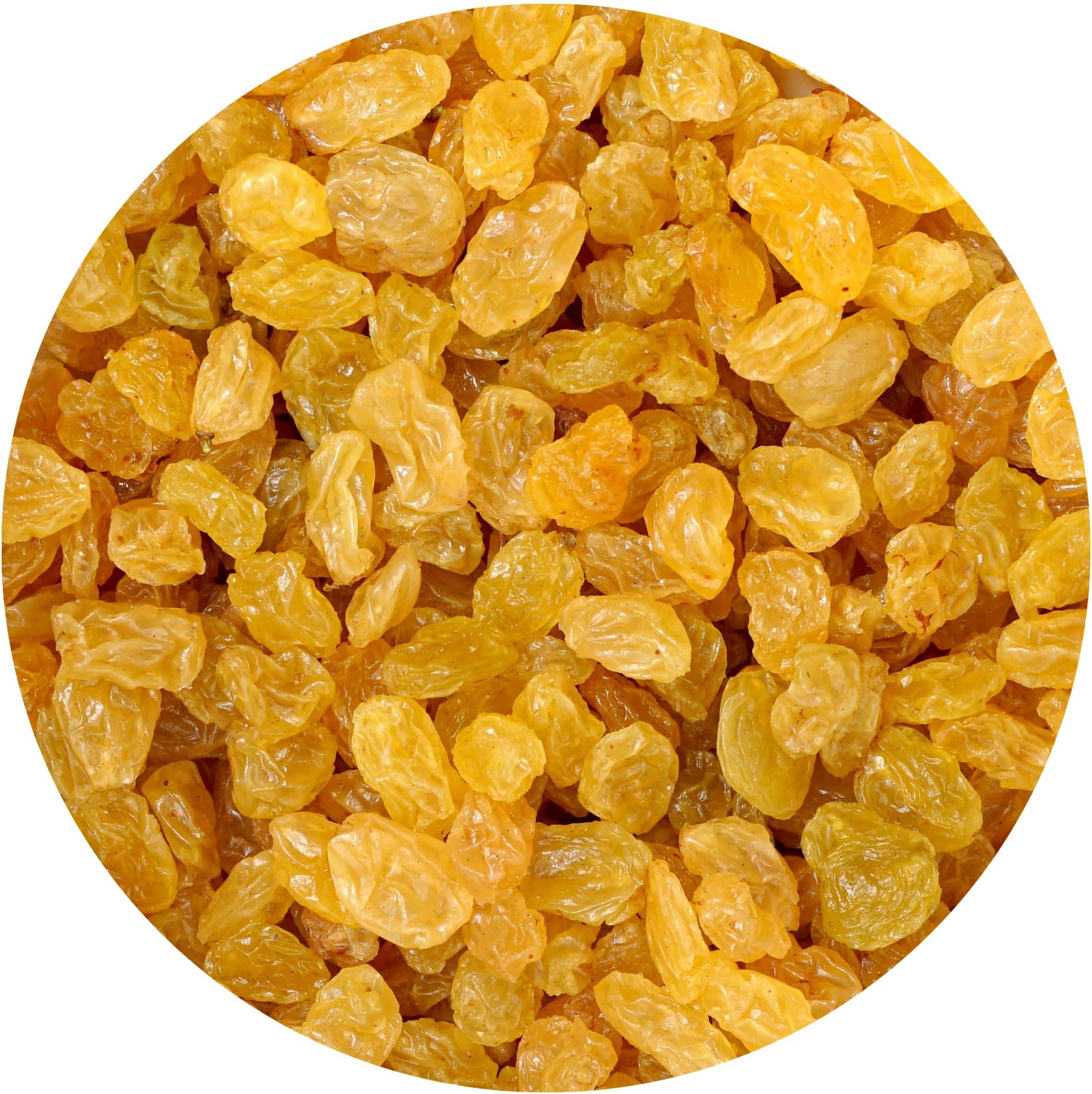 Amazon.com: Golden Raisins, 1 Pound Bag Raisins, The Hampton Popcorn ...