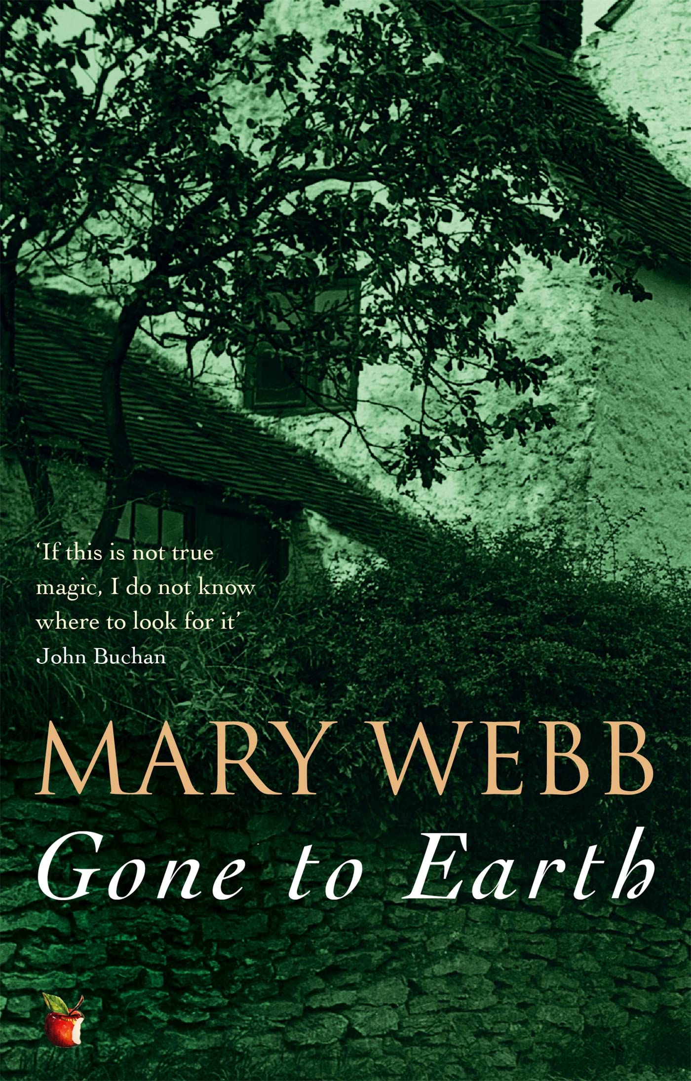 Gone to Earth (Virago Modern Classics): Webb, Mary: 9780860681434 ...