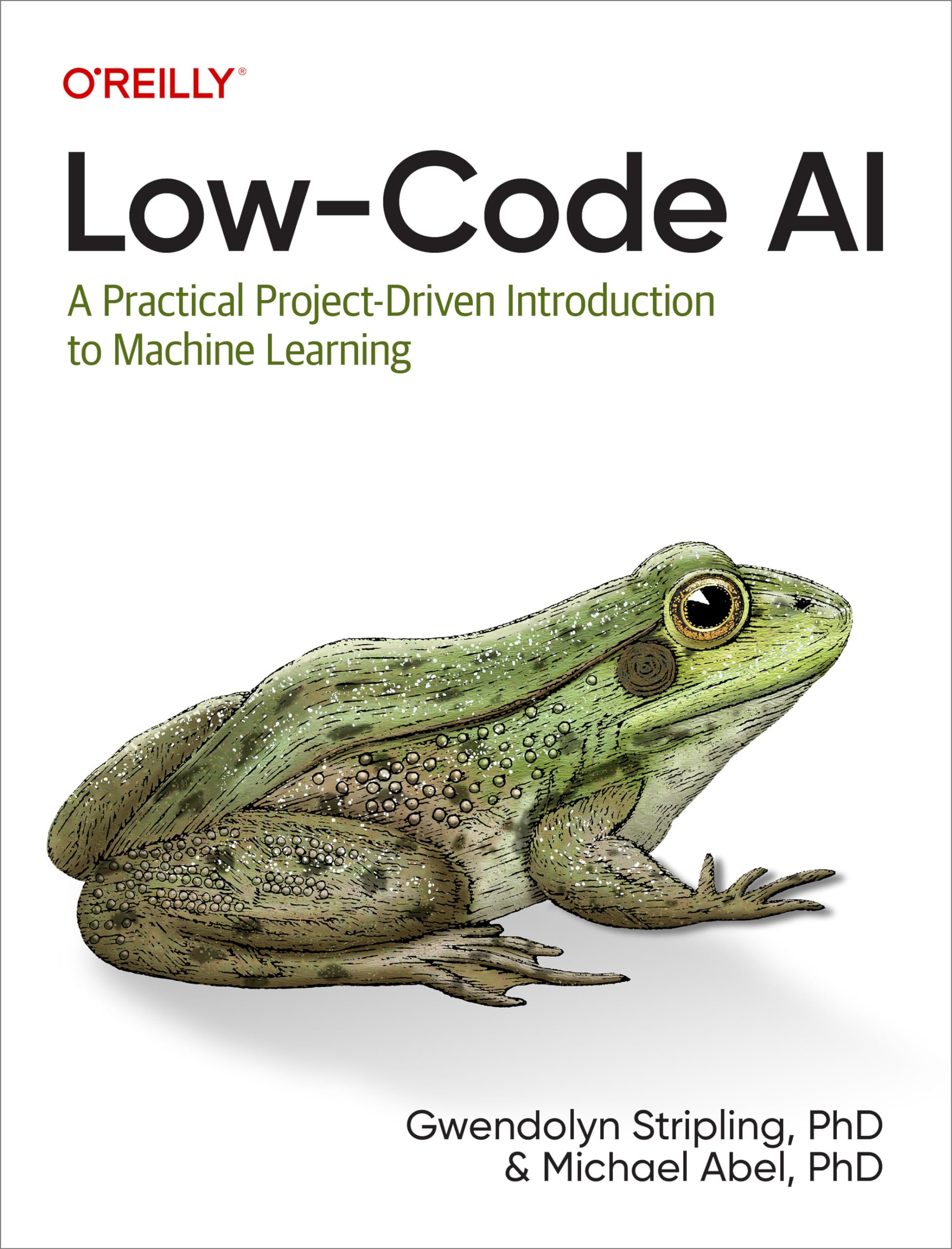 Amazon.com: Low-Code AI: A Practical Project-Driven Introduction to Machine Learning ...