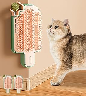 Cats' Self-Grooming Habits: How Often And Why They Do It | PetShun