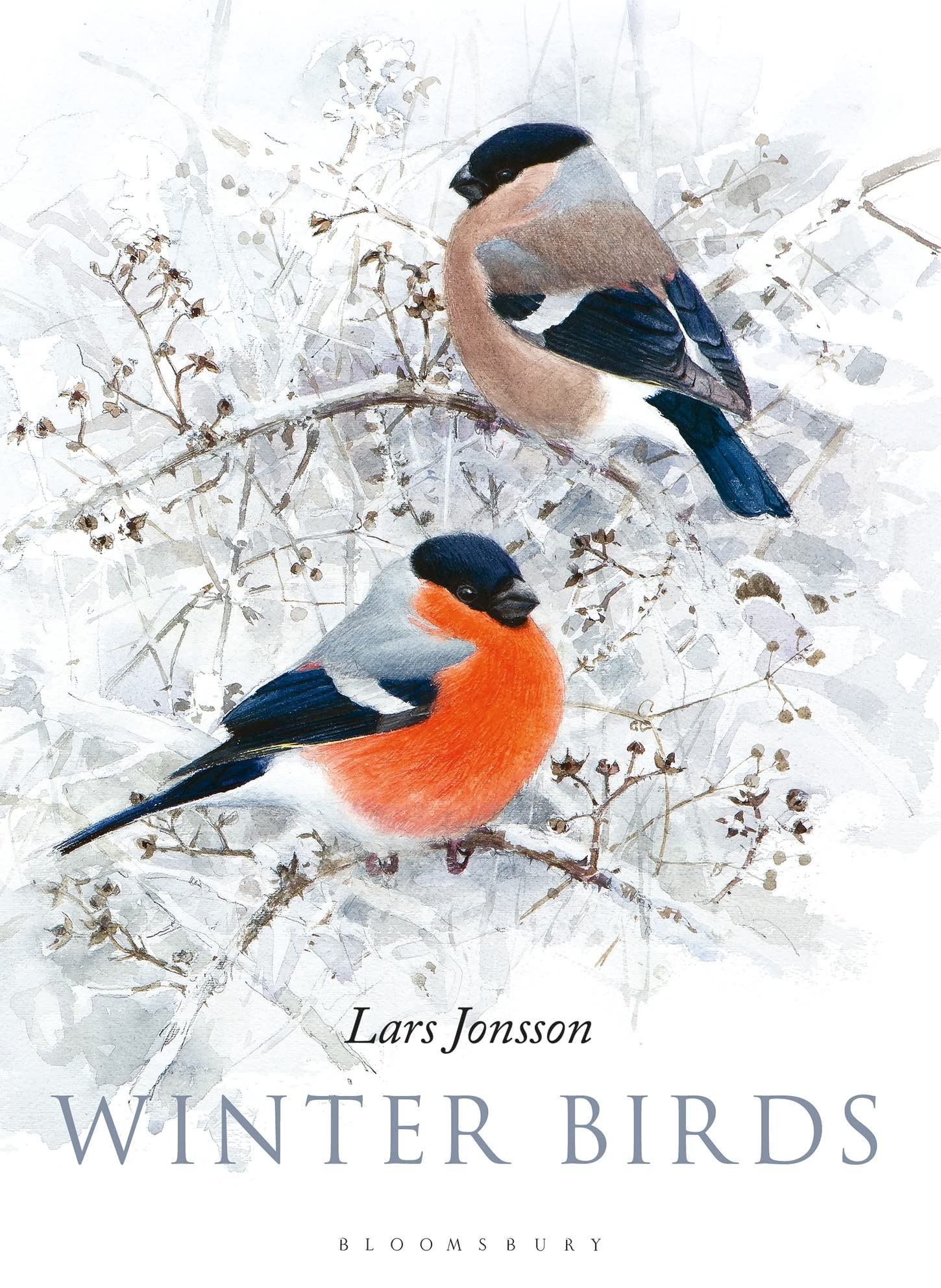 Winter Birds : Jonsson, Lars: Amazon.de: Bücher