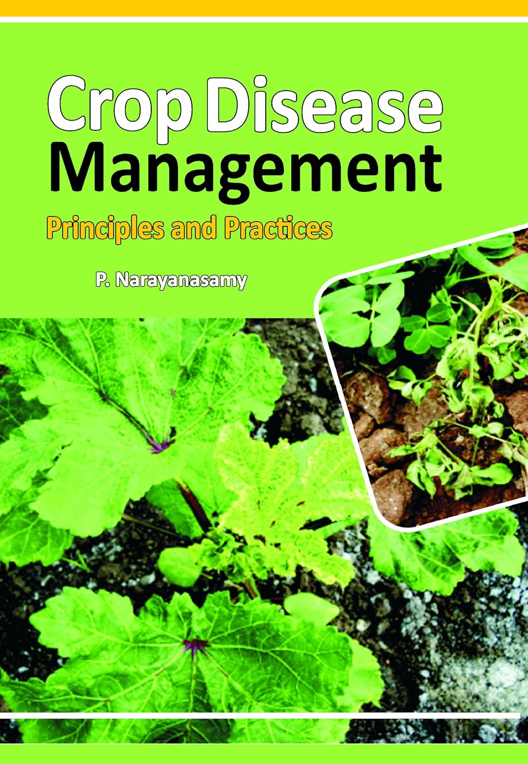 Crop Diseases Management: Principles And Practices: 9788119072644 ...