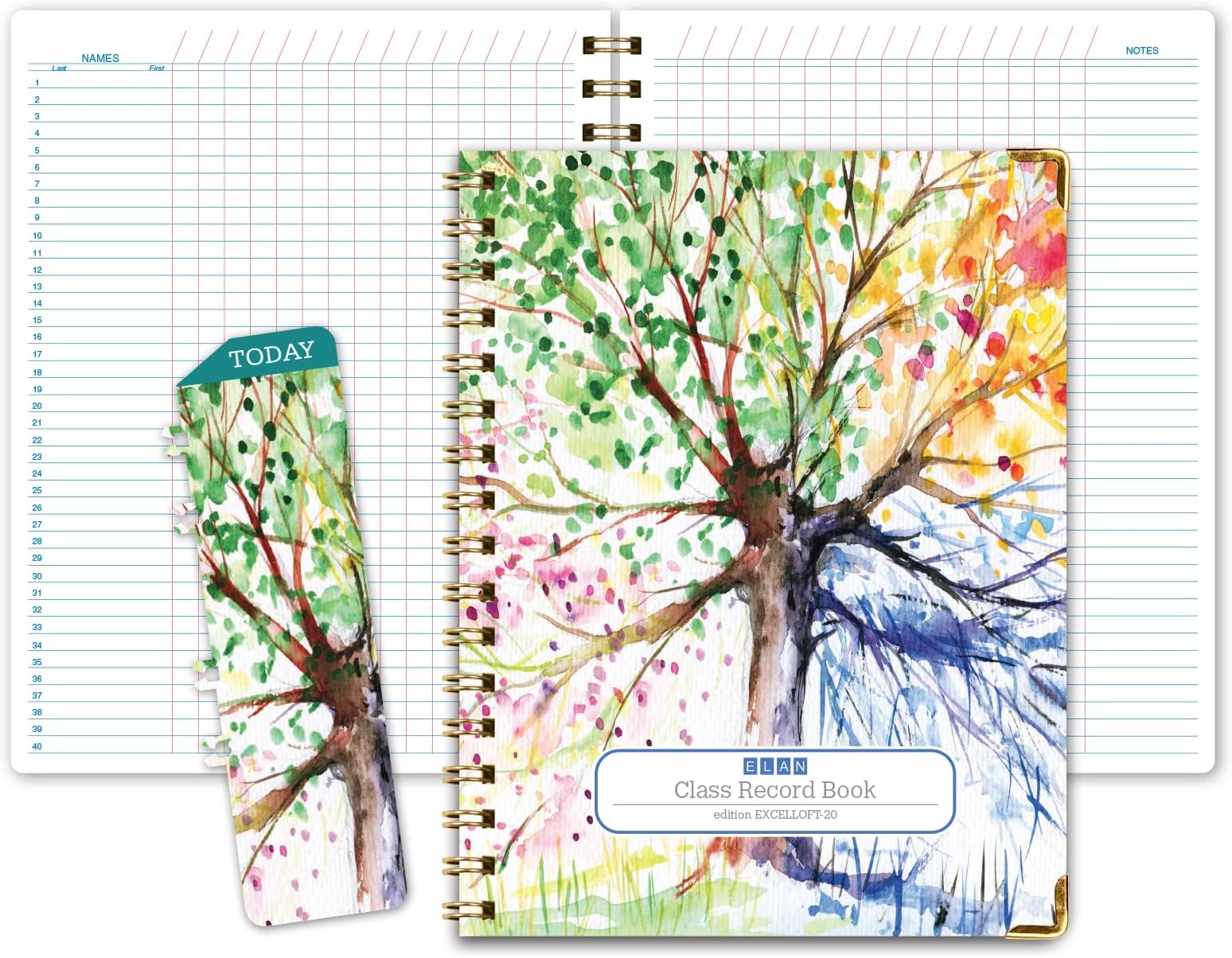 Amazon.com : Elan Publishing Company Class Record Book for 6-8 Weeks ...