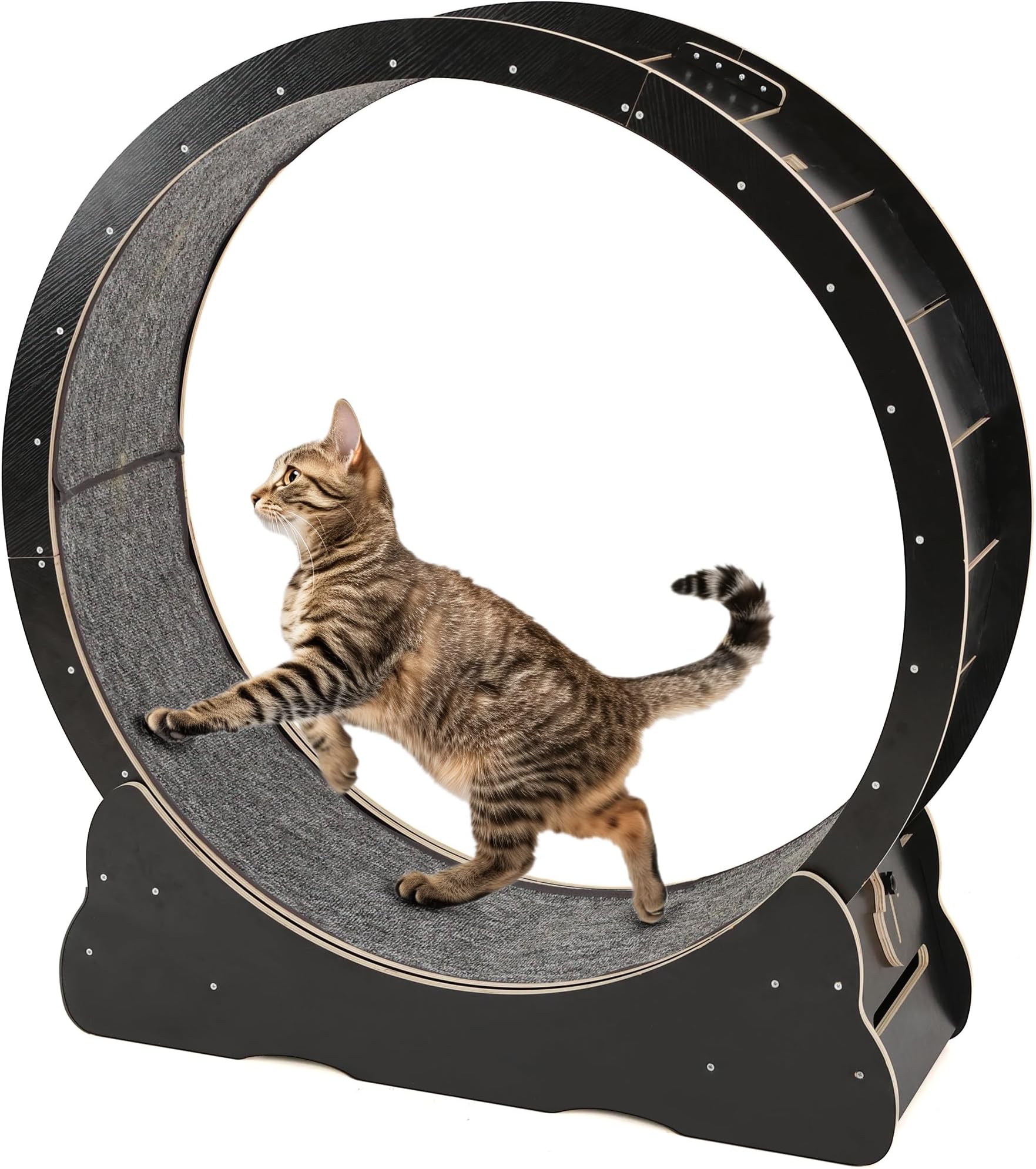 Amazon.com : Nordic Beast 48'' XL Cat Wheel - Cat Wheels for Indoor ...