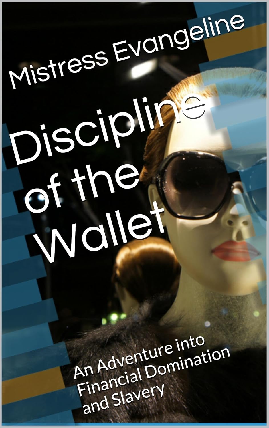 Discipline of the Wallet: An Adventure into Financial Domination and ...