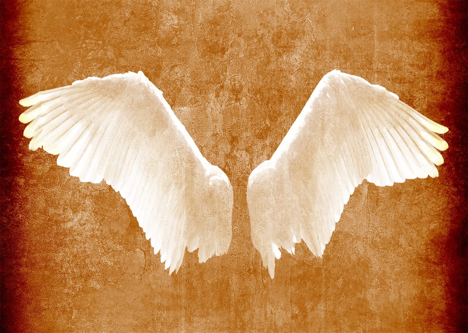 Feathered Wings Texture