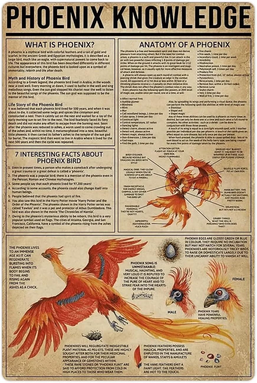 Amazon.com: Phoenix Knowledge Metal Tin Signs Phoenix Infographic ...