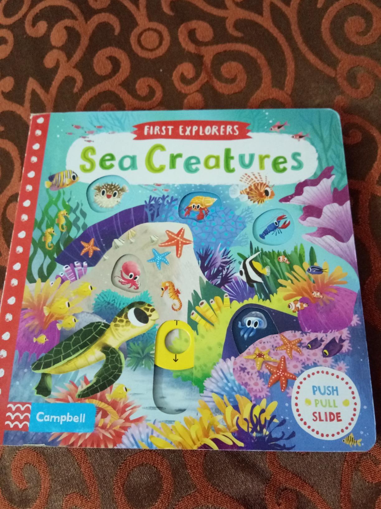 Buy First Explorers: Sea Creatures Book Online at Low Prices in India ...