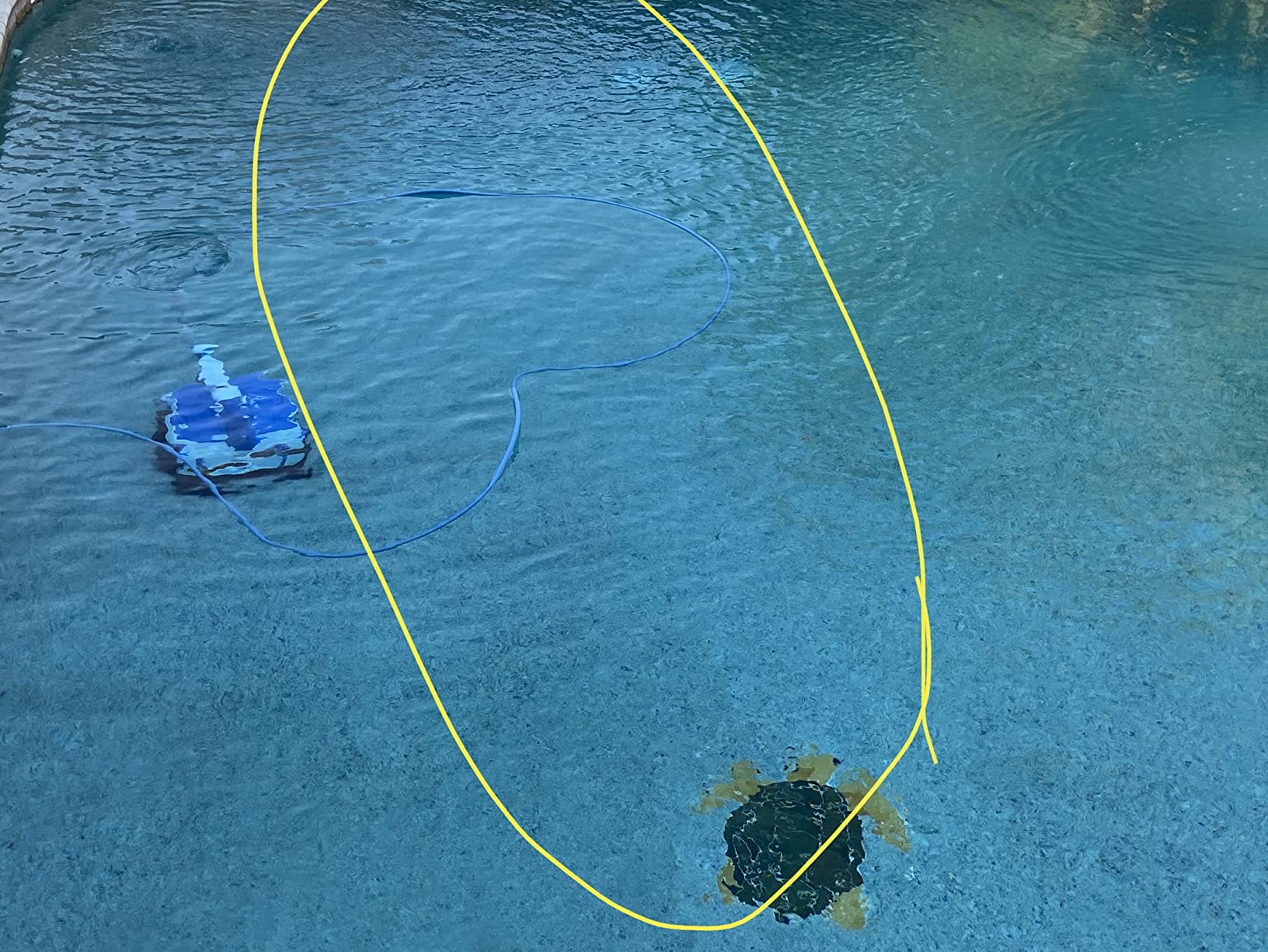 $15/mo - Finance Rock&Rocker Upgraded Powerful Automatic Pool Cleaner ...