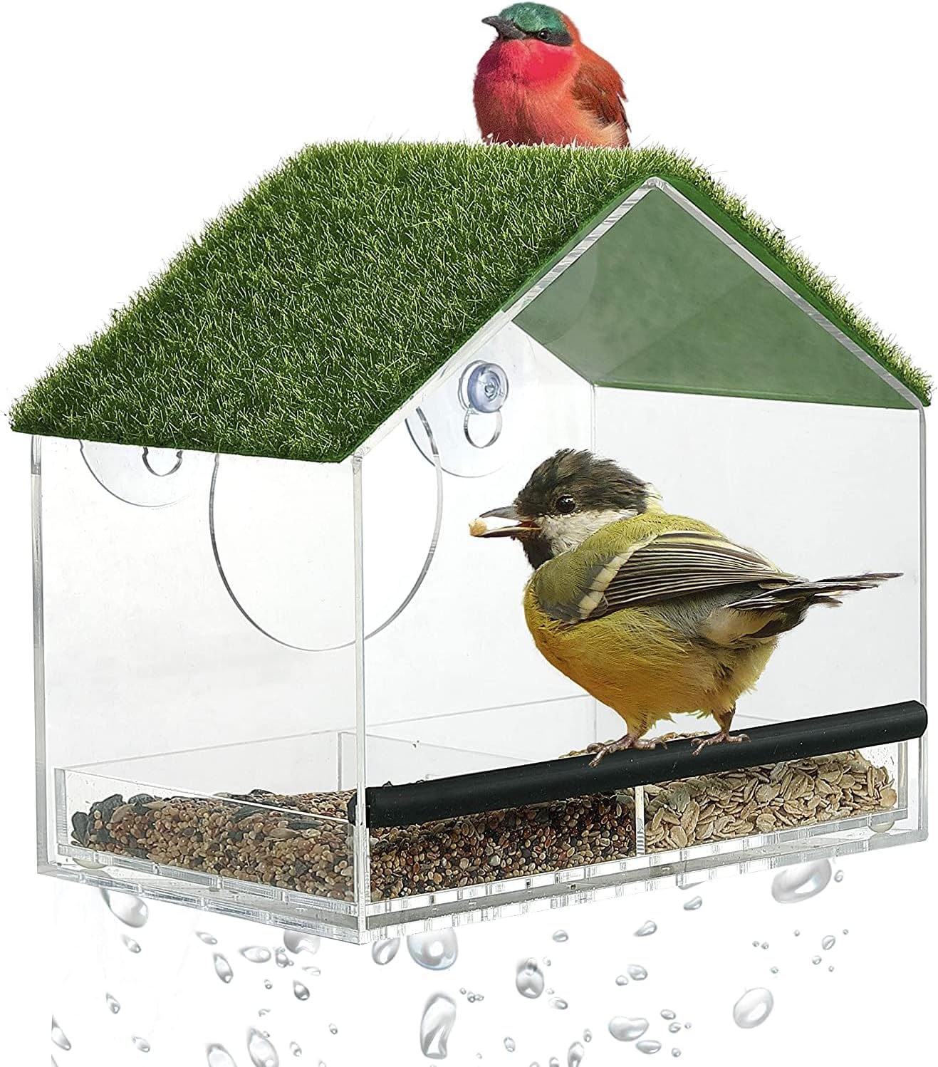 Amazon.com : GENNIZZ Window Bird Feeders for Outside,Acrylic Clear ...