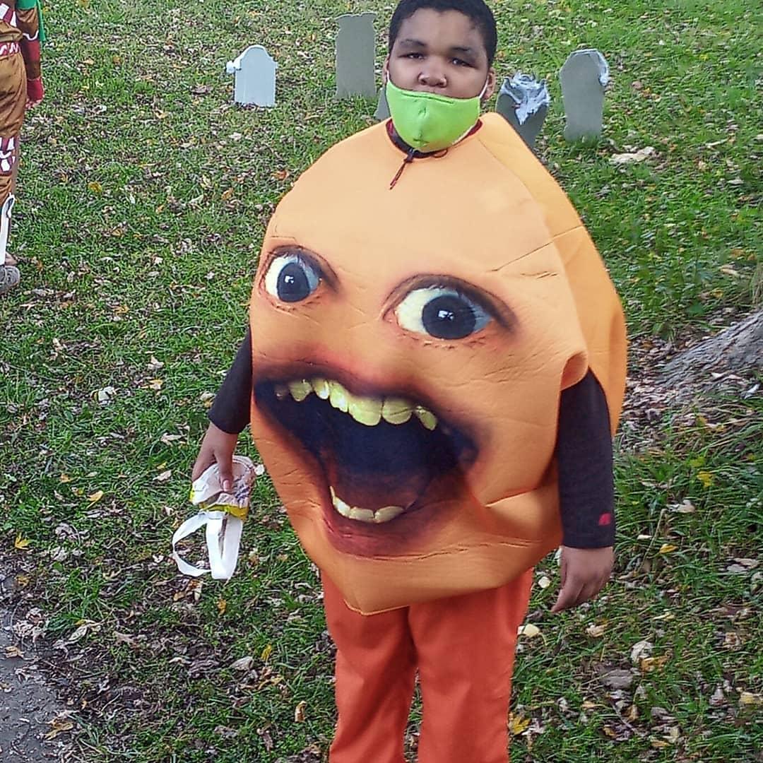 Amazon.com: Forum Annoying Orange Annoying Orange Adult Costume, Orange ...