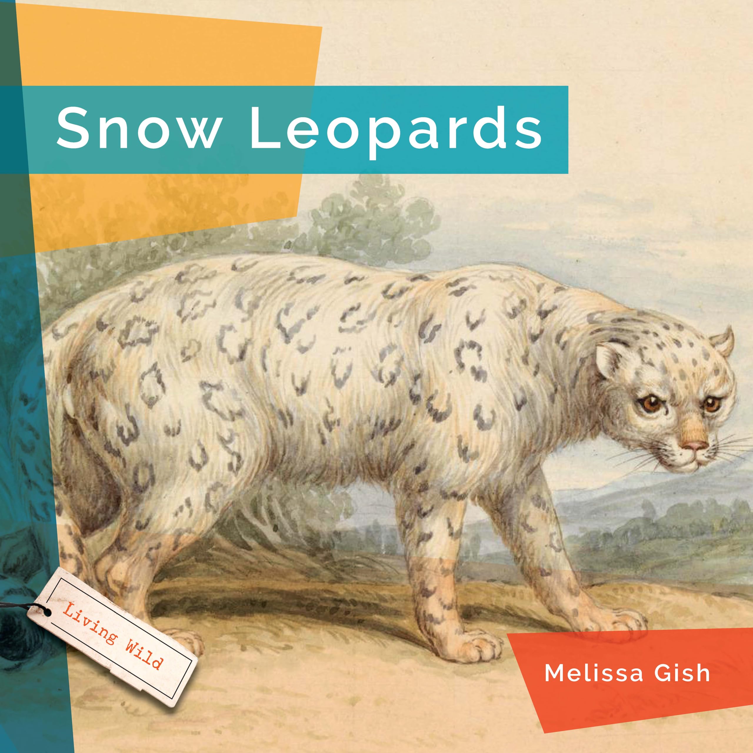 Snow Leopards (Living Wild): Gish, Melissa: 9781640268081: Amazon.com ...