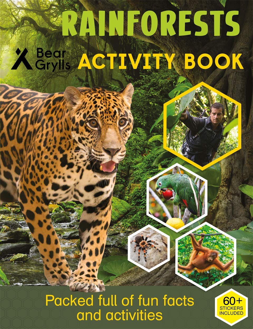 Bear Grylls Sticker Activity: Rainforest: Grylls, Bear: 9781786960856 ...