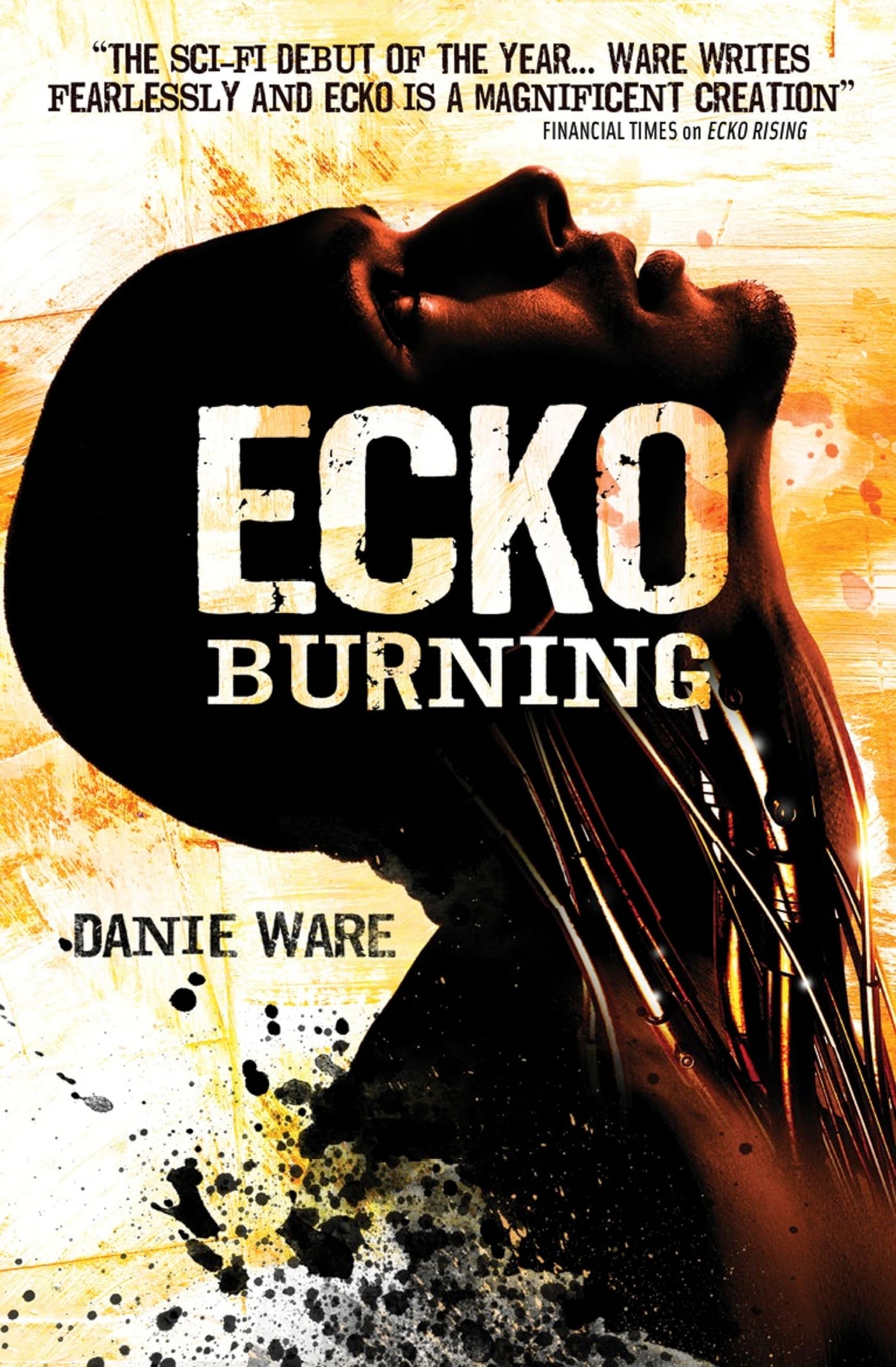 Ecko Burning: Ware, Danie: 9781781169087: Amazon.com: Books
