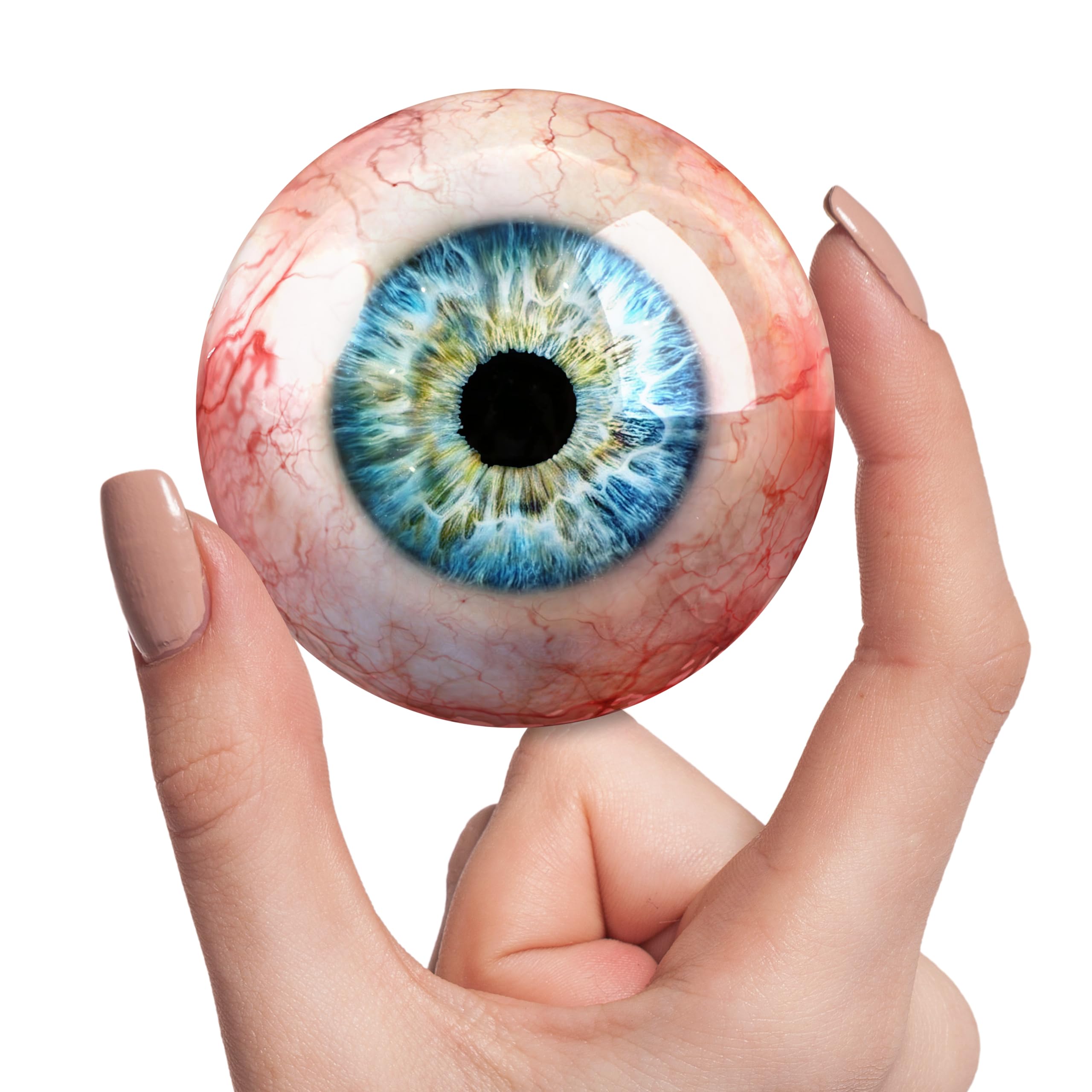 Amazon.com: Huge Human Glass Eye - Large Realistic Bloodshot Taxidermy ...