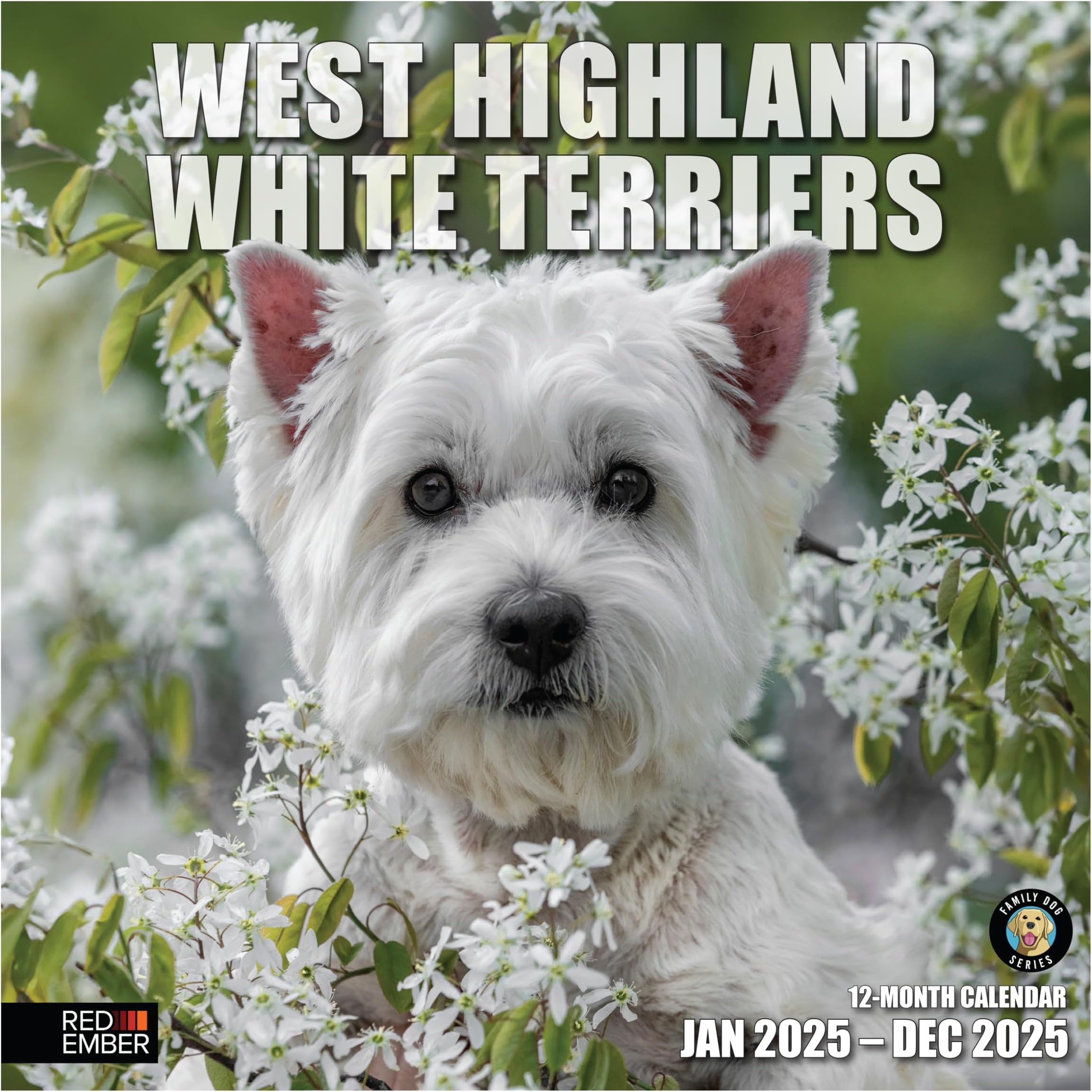 Amazon.com: Willow Creek Press Westies Monthly 2025 Wall Calendar (12 ...