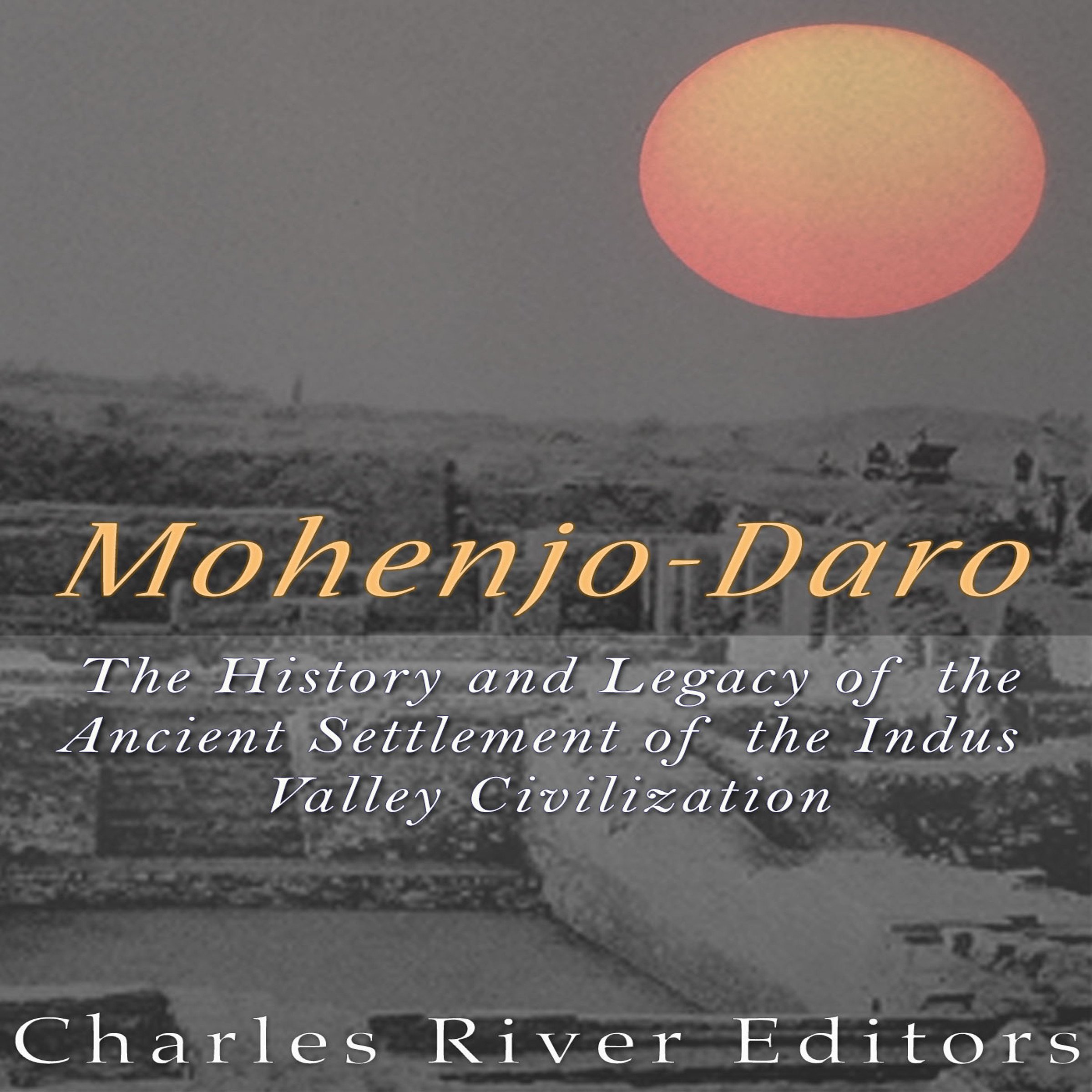 Buy Mohenjo-daro: The History and Legacy of the Ancient Settlement of ...
