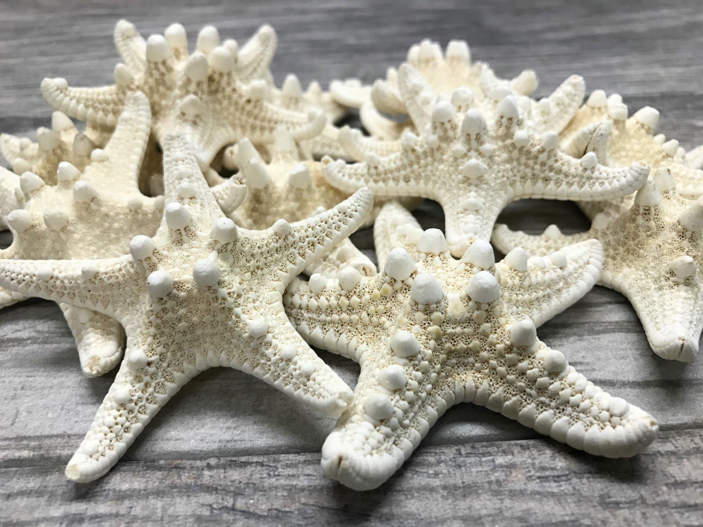 Amazon.com: Fitz and Floyd Coastal Home Starfish Figurine, White : Home ...