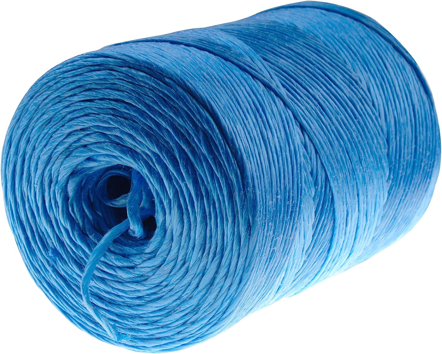 1500 Feet Multipurpose Poly Tying Twine : Amazon.ca: Tools & Home ...