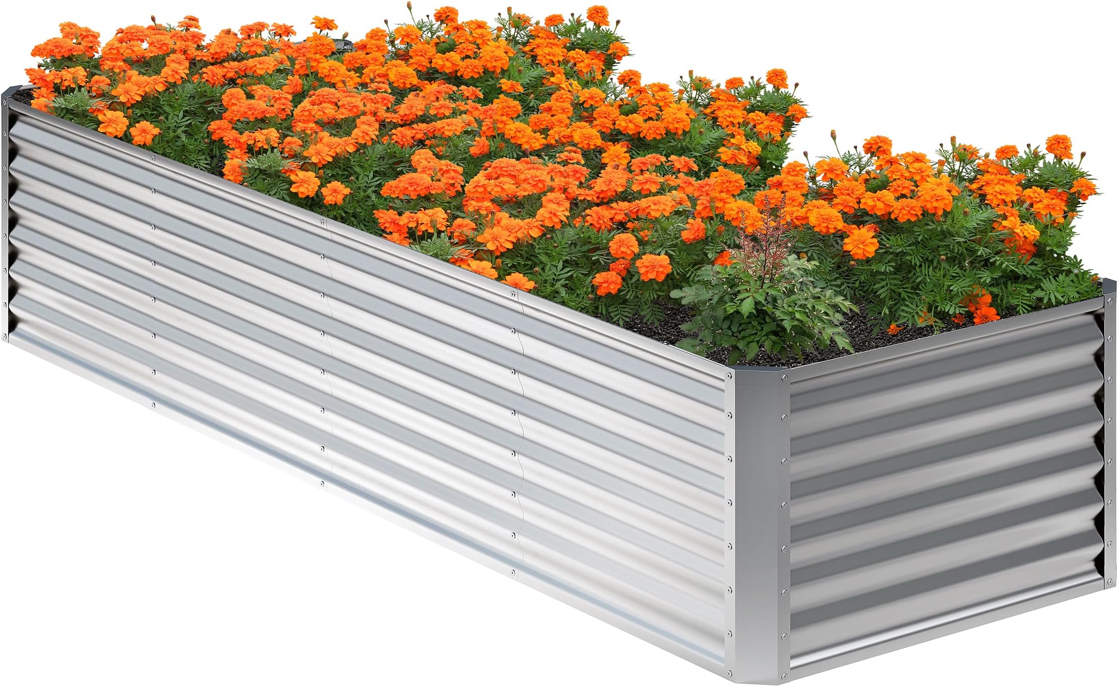 Amazon.com: 8X2X2FT Galvanized Raised Garden Beds Outdoor,Planter ...