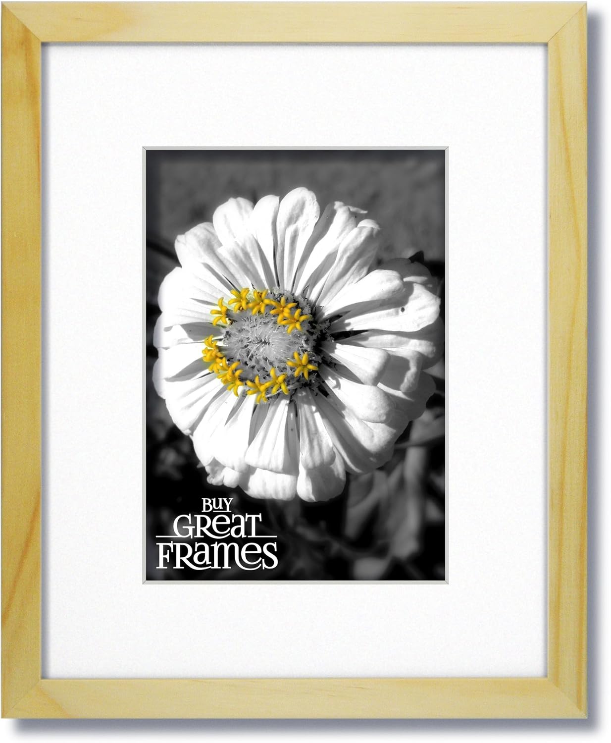 Amazon.com: Set of 6 - 8x10 Natural Light Wood Frames and Glass with ...