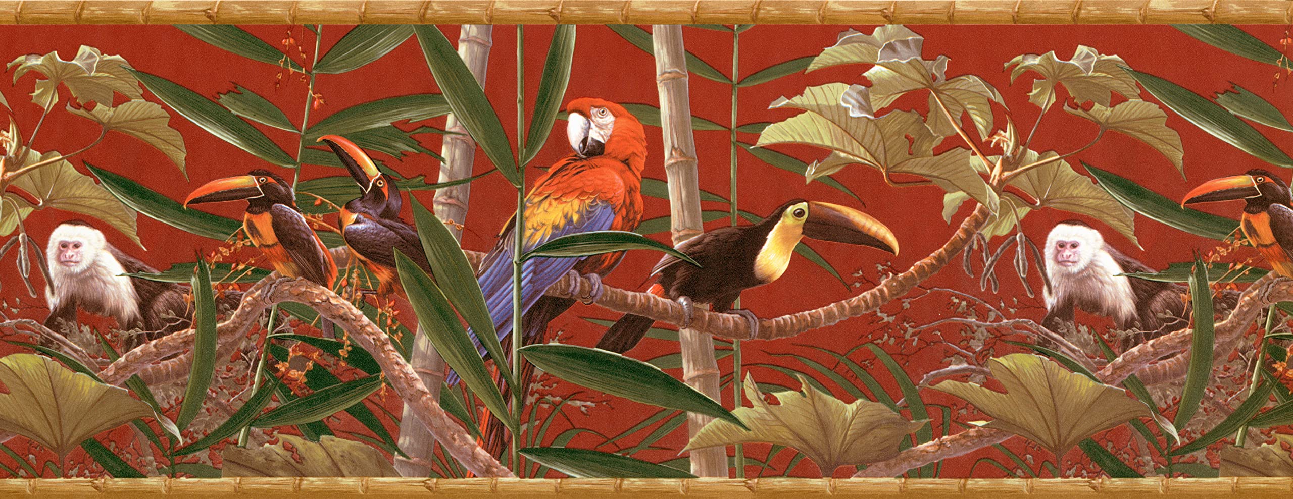 Parrot Safari Wallpaper Border Wallpaper Border Jungle Elephant Panda