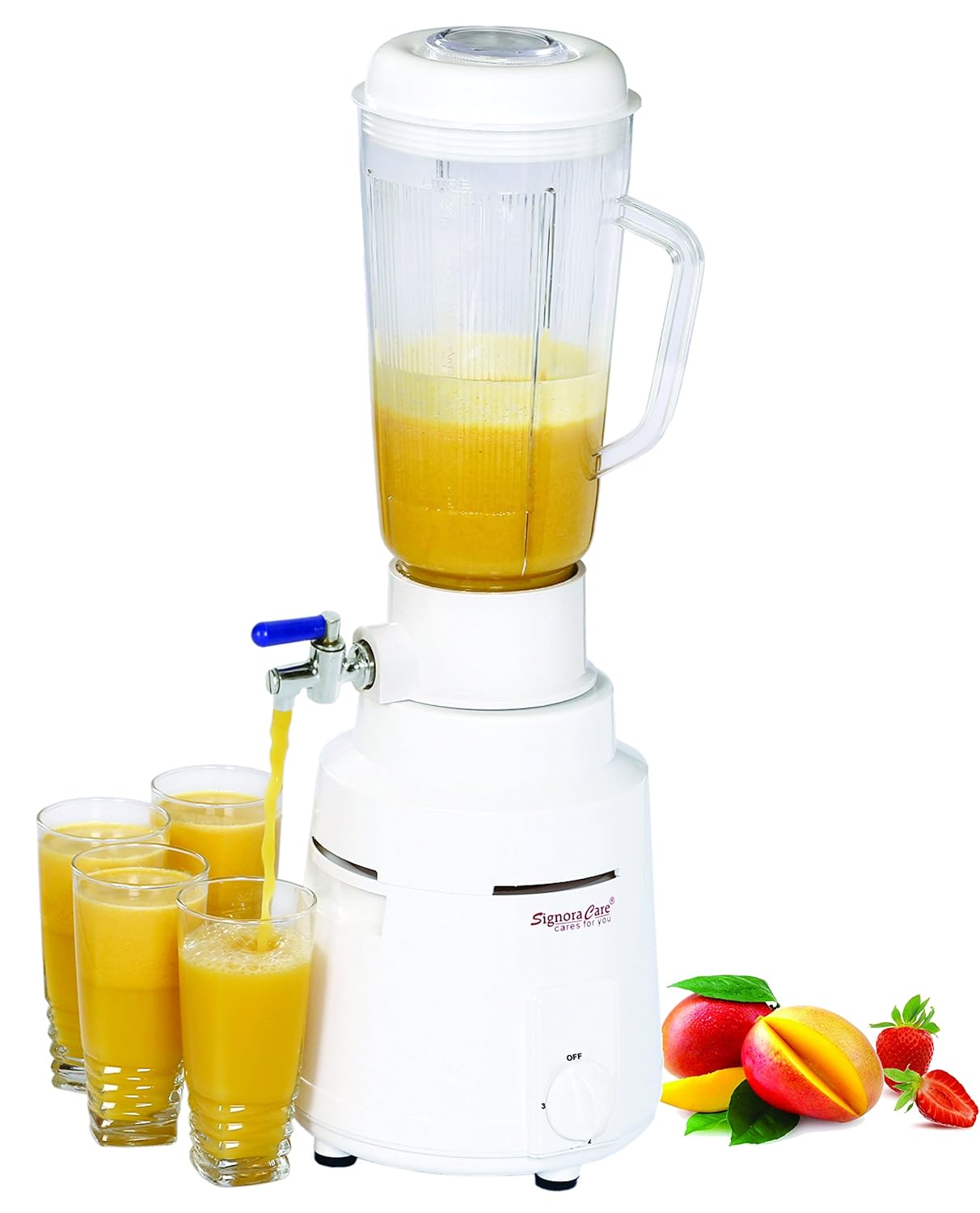 Buy Signora Care Inov 900 Watts Powermatic Mixer Blender, White ...