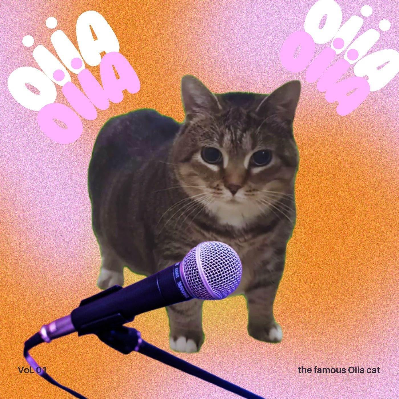 OIIA OIIA (Spinning Cat) song by W&W from OIIA OIIA (Spinning Cat) on ...