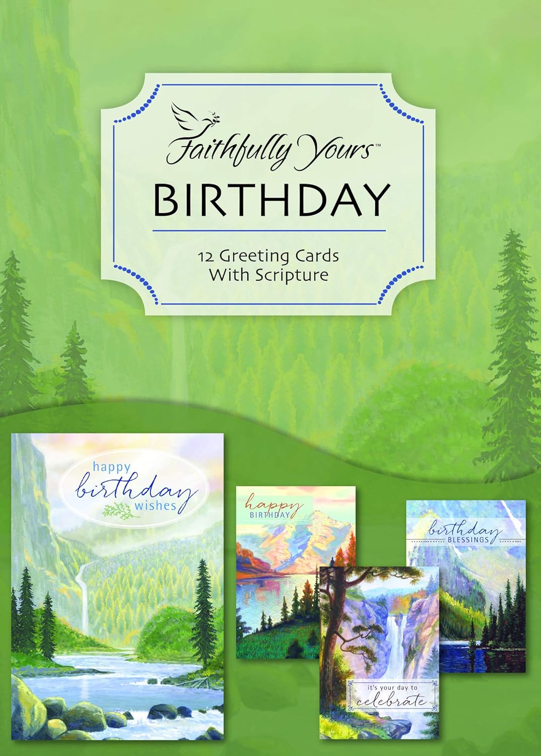 Amazon.com : DGR Card-Boxed-Birthday-Waterfalls (Box of 12) : Office ...