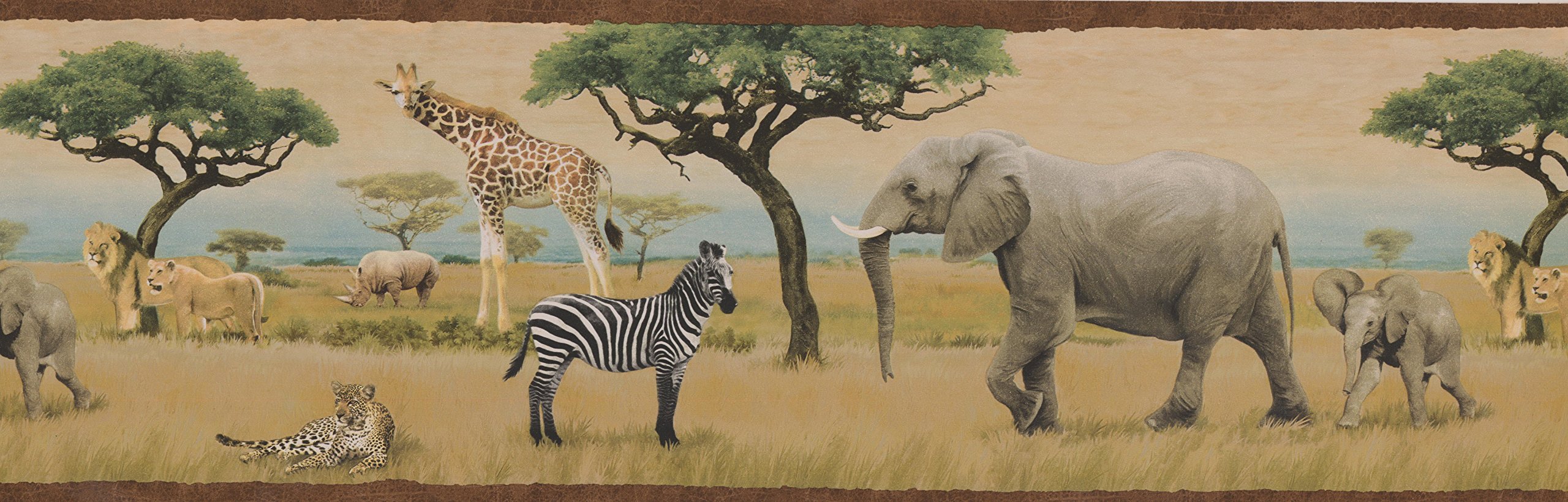 African Animal Border Photos From The Front Lines Of The Battle To