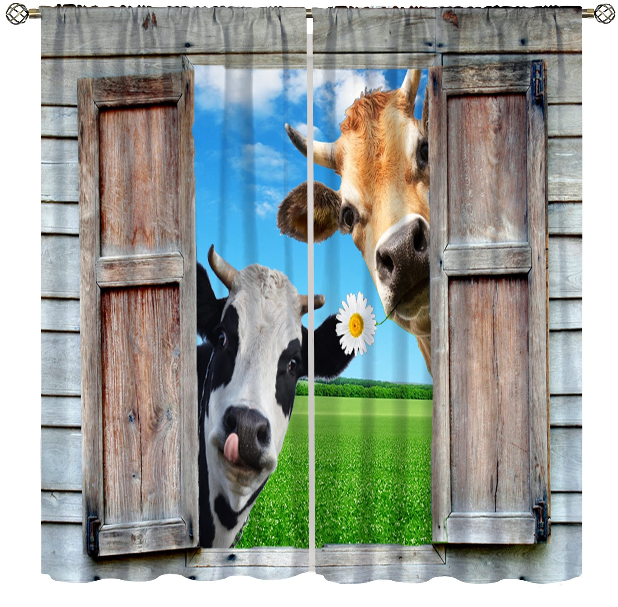 Amazon.com: SENRUEGT Farm Funny Cow Curtains,Rustic Vintage Farm Cute ...