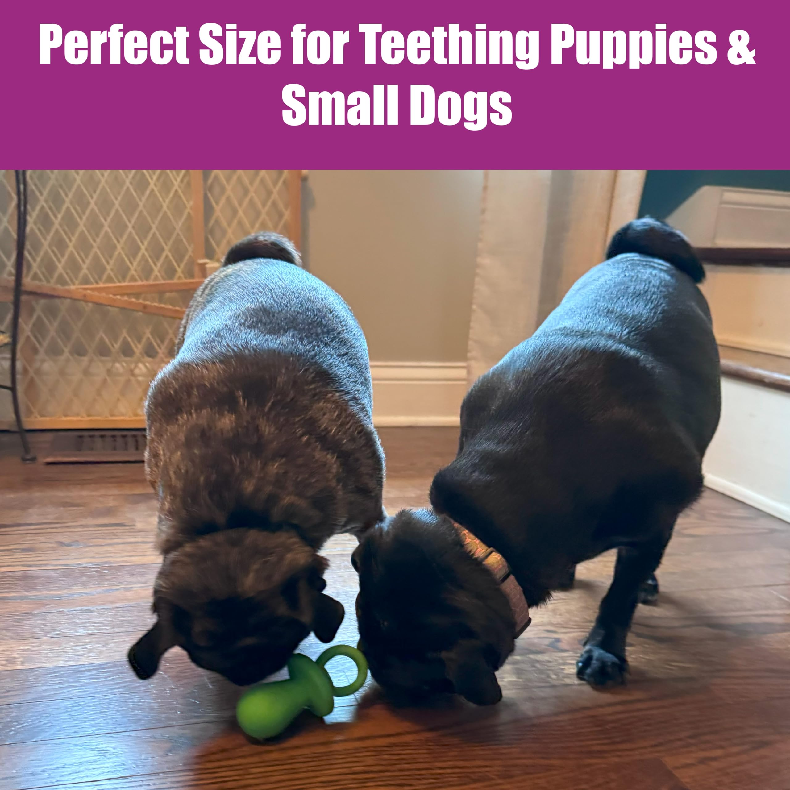 Snapklik.com : SPOT Puppy Pacifier Latex Dog Toy Cute Binky-Shaped Chew ...