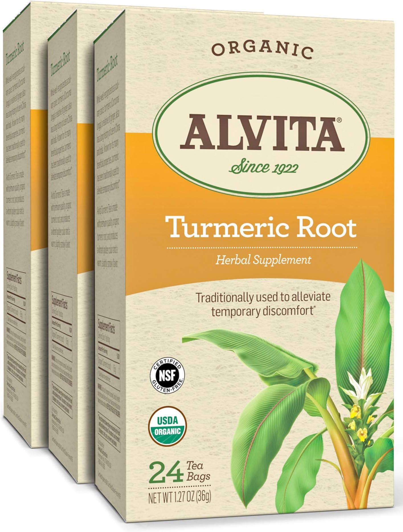 Amazon.com: Alvita Organic Herbal Tumeric Tea, 24 Count, Packaging May ...