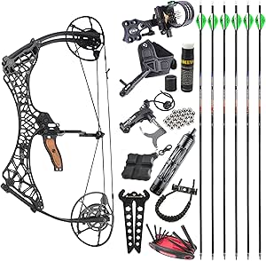 Amazon.com : ZSHJGJR Dual-Purpose Compound Bow Steel Ball Bow and Arrow ...