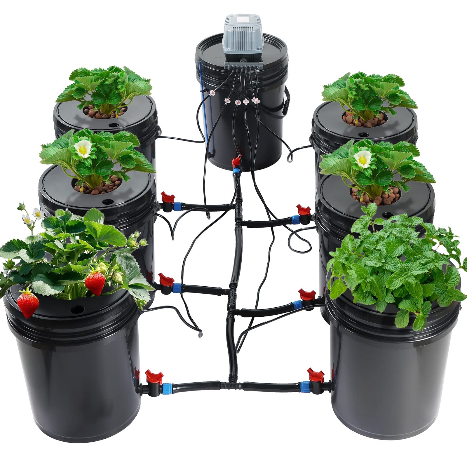 Hobby Hydroponic Bucket Systems Deep Water Culture (DWC) Systems: A