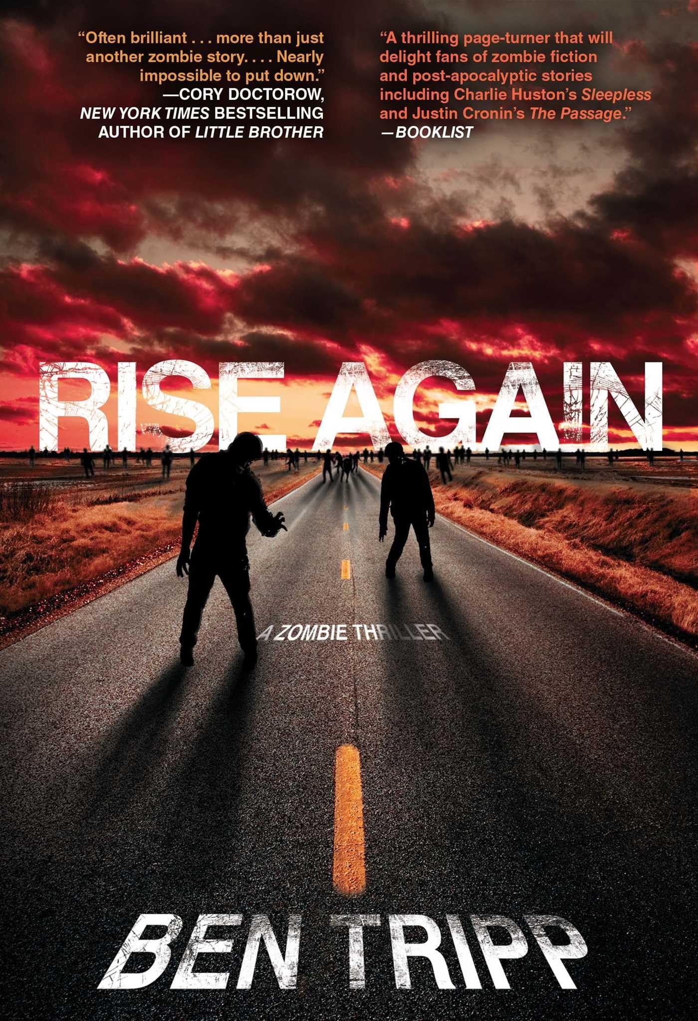 Rise Again: Tripp, Ben: 9781439165164: Amazon.com: Books