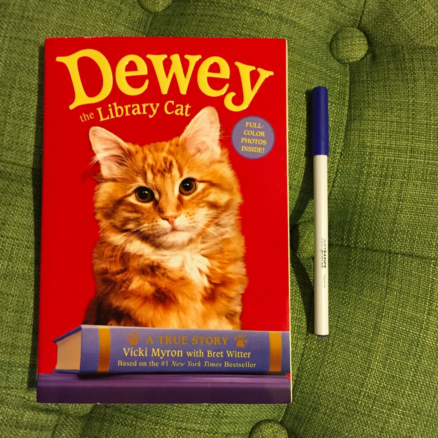 Dewey: The Small-Town Library Cat Who Touched the World: Vicki Myron ...