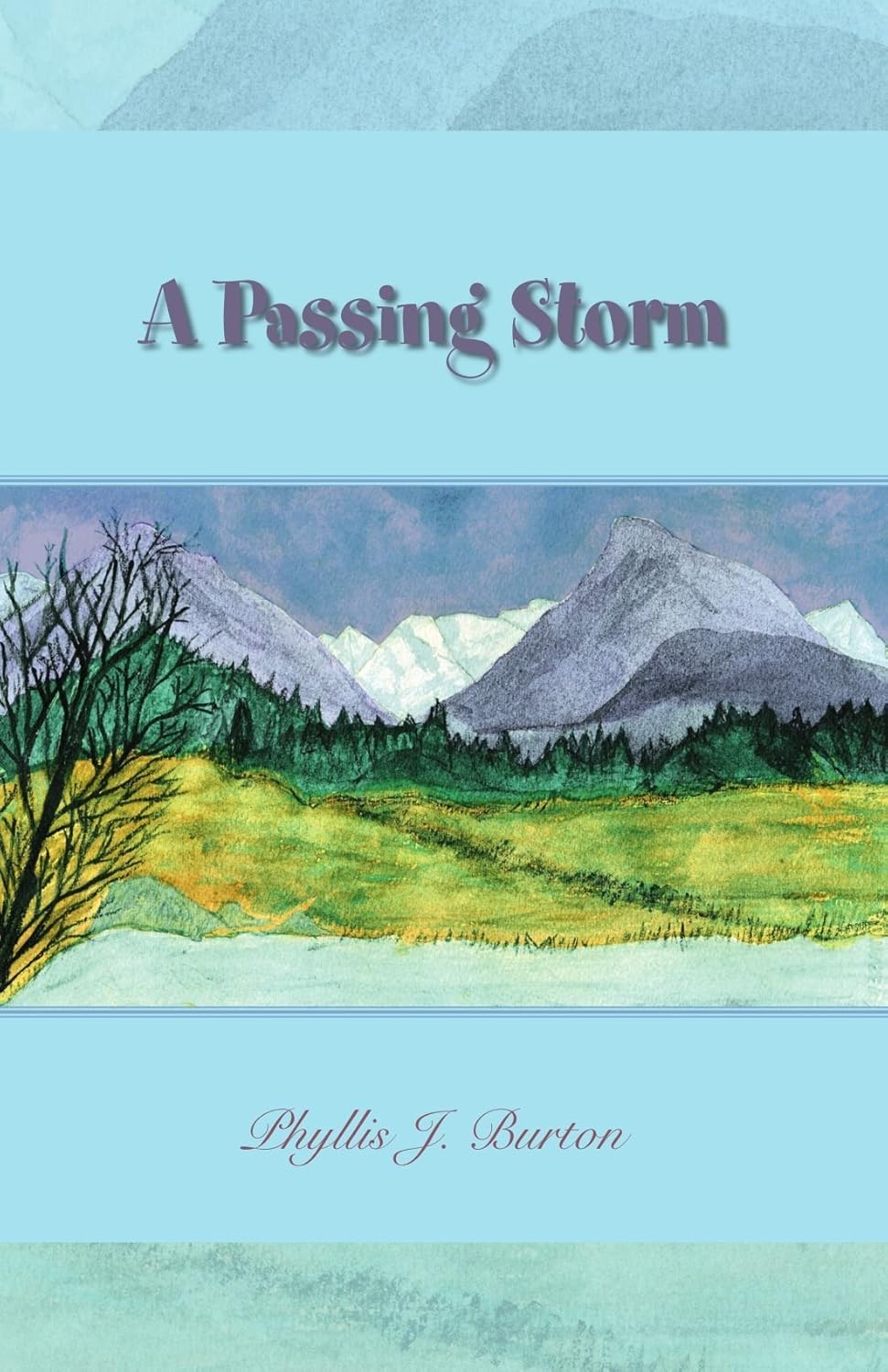 A Passing Storm: Burton, Phyllis J.: 9781412087810: Amazon.com: Books