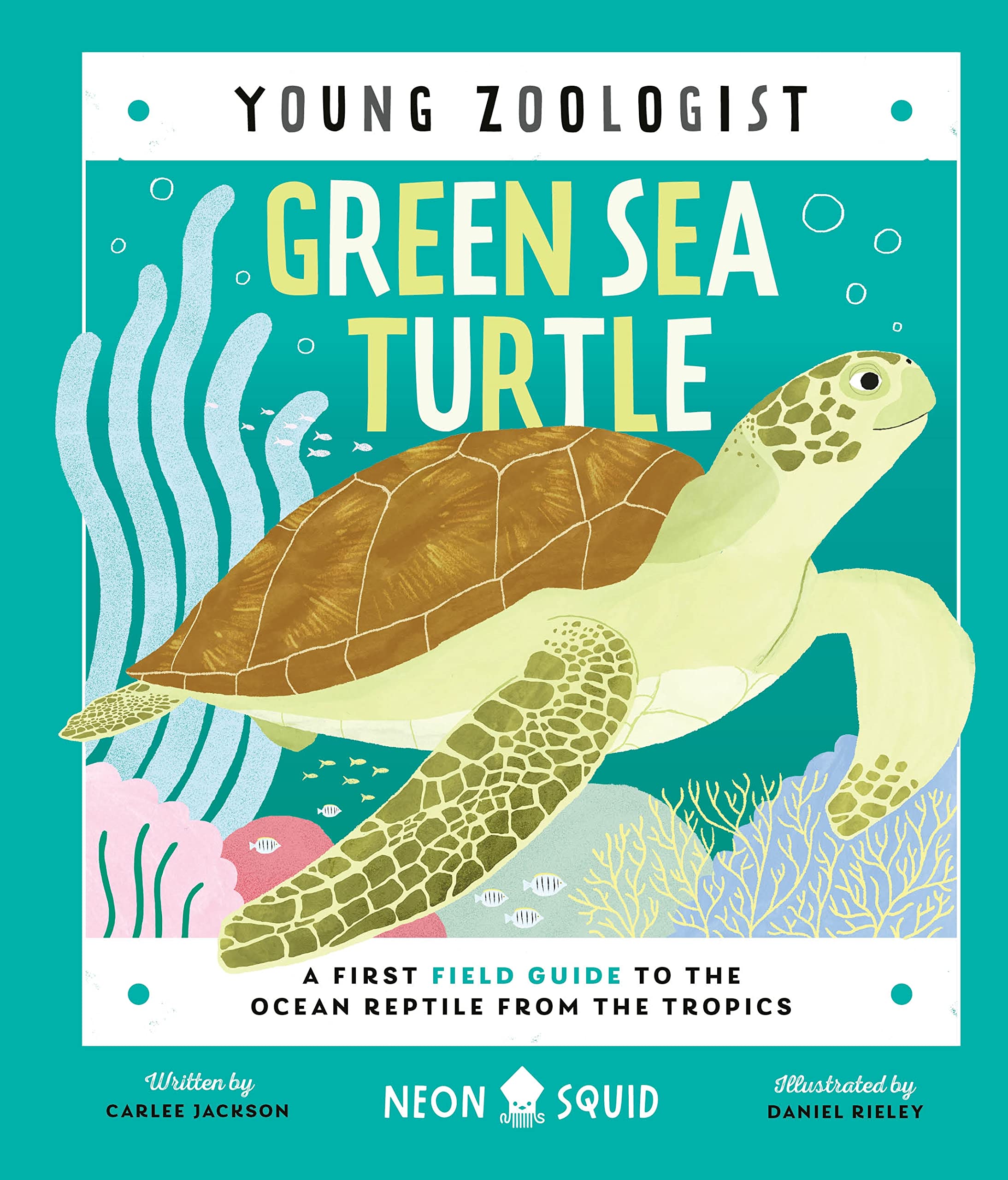 Green Sea Turtle (Young Zoologist): A First Field Guide to the Ocean ...