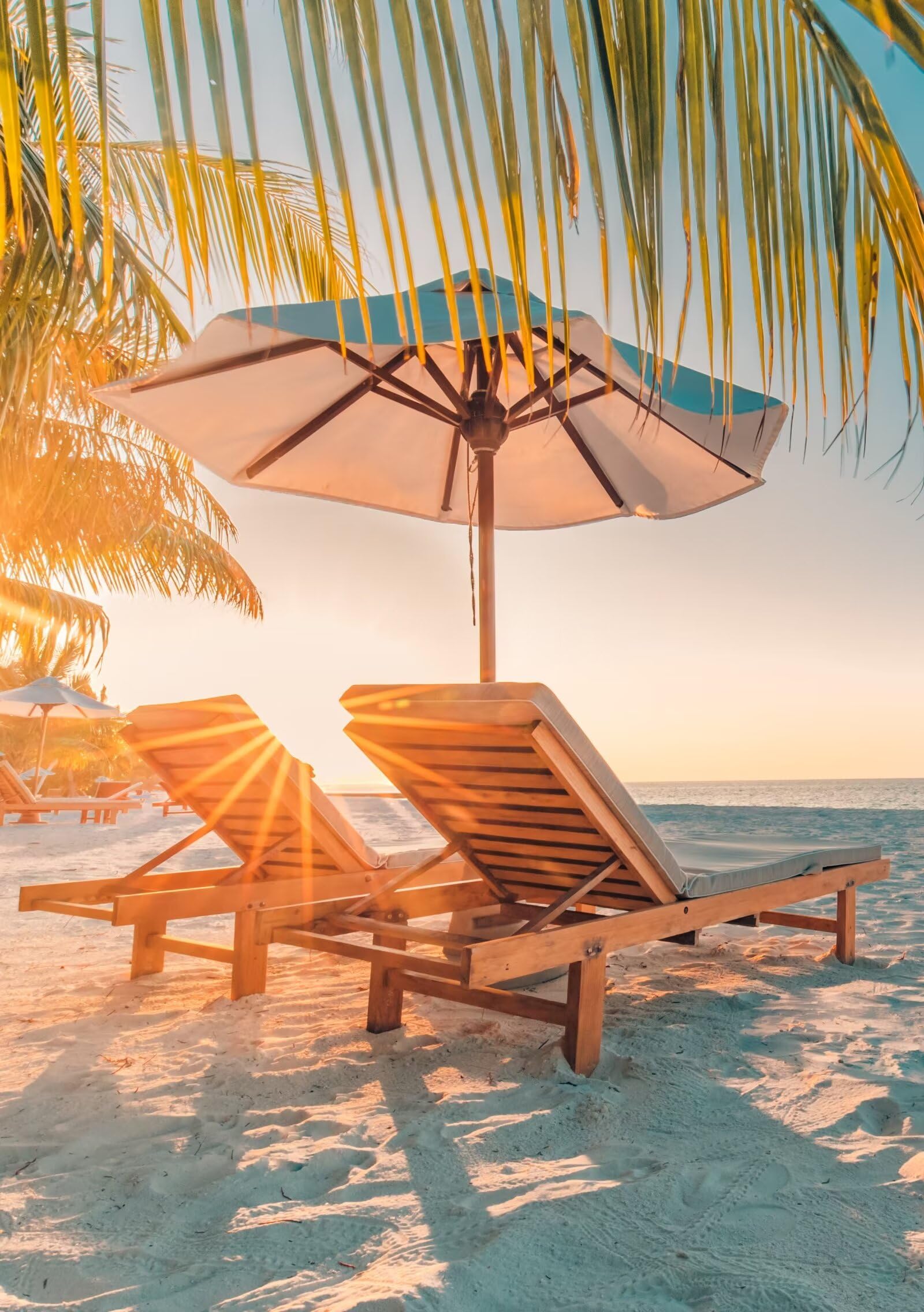 Amazon.com : Pickako Tropical Beach Palm Trees and White Sand Summer ...