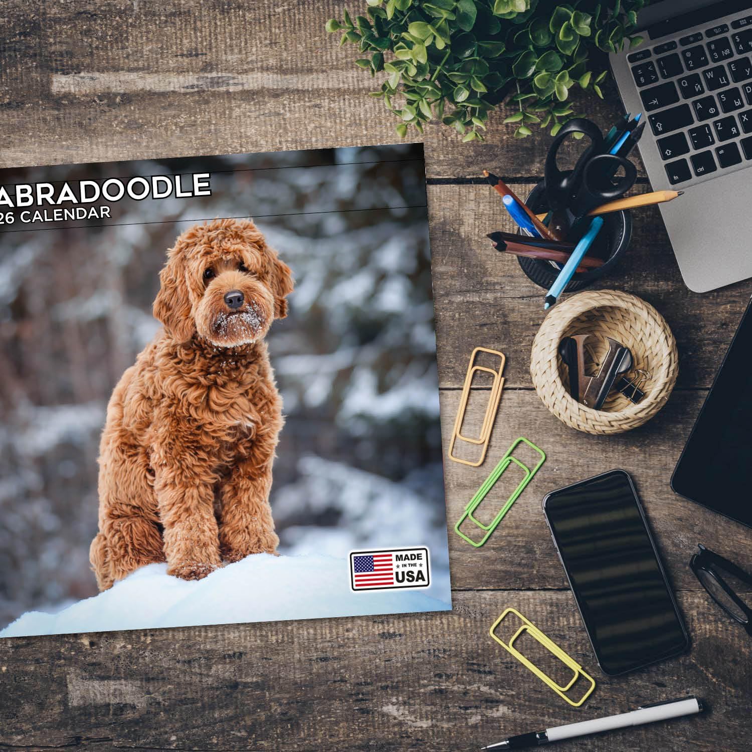 Snapklik.com : 2026 Labradoodle Calendar - Dog Breed Wall Calendar - 12 ...