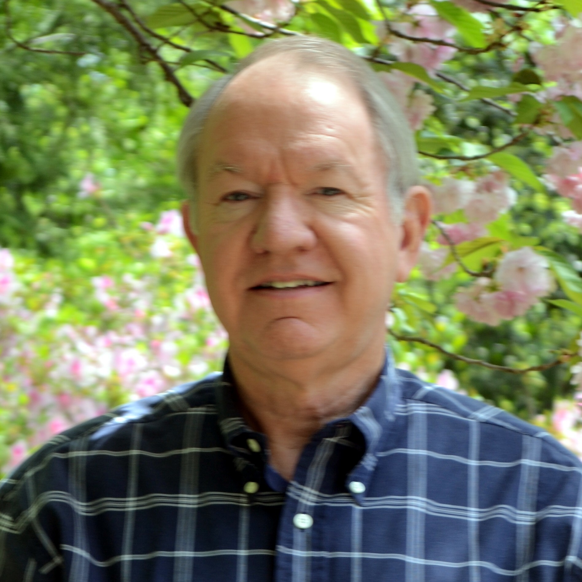 Amazon.com: Greg McCollum: books, biography, latest update