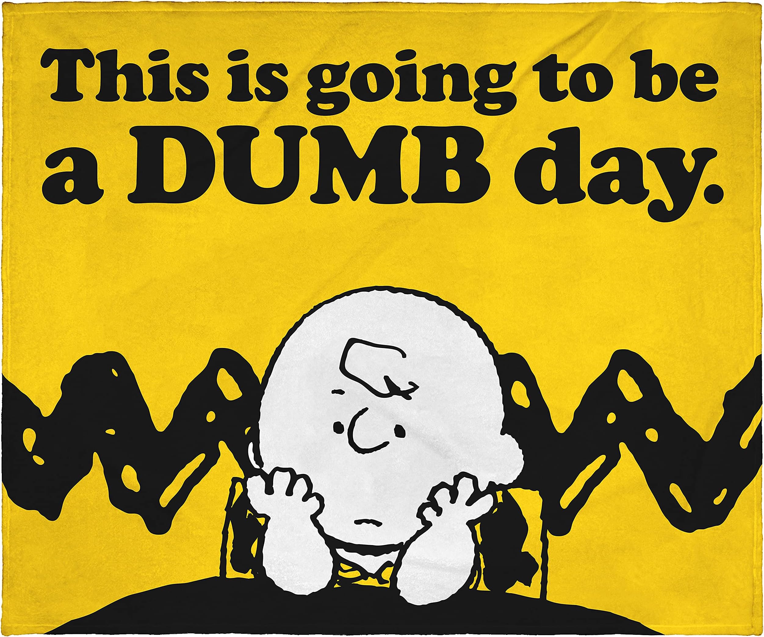 Amazon.com: Peanuts "Ha Ha Ha" Comic Strip Panels Sherpa Throw Blanket ...