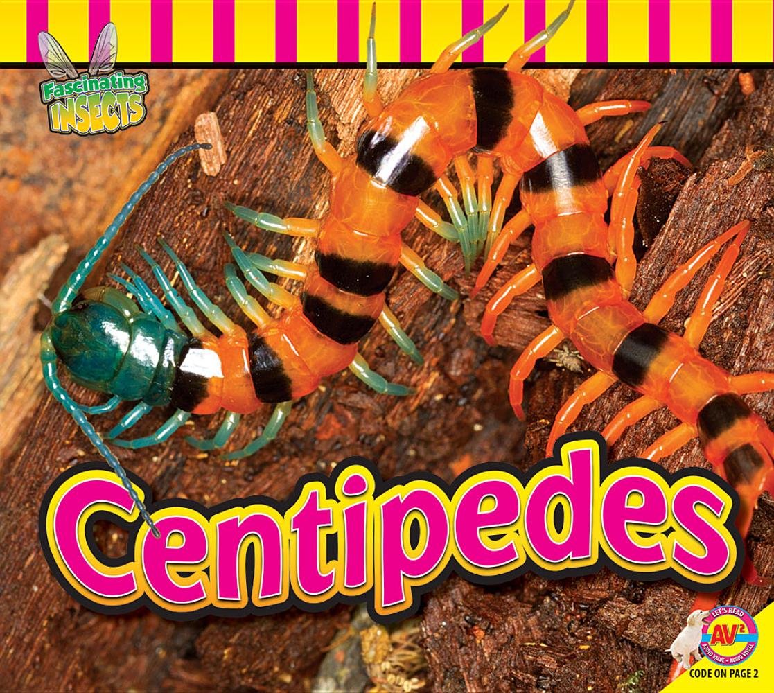 Centipedes (Fascinating Insects): Willis, John: 9781489641335: Amazon ...