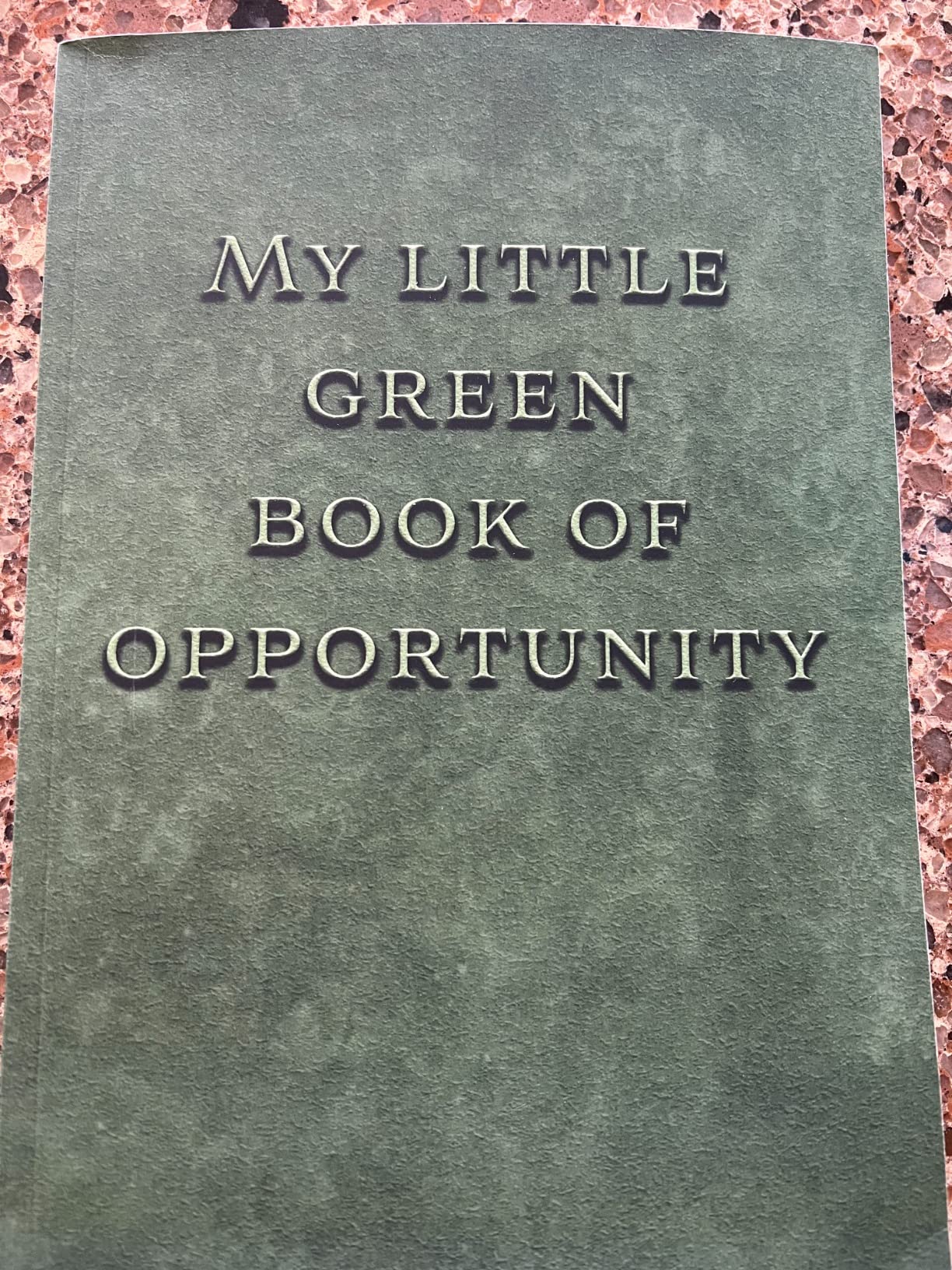 Little Green Book Of Opportunity: Lead Tracking for Real Estate Agents ...