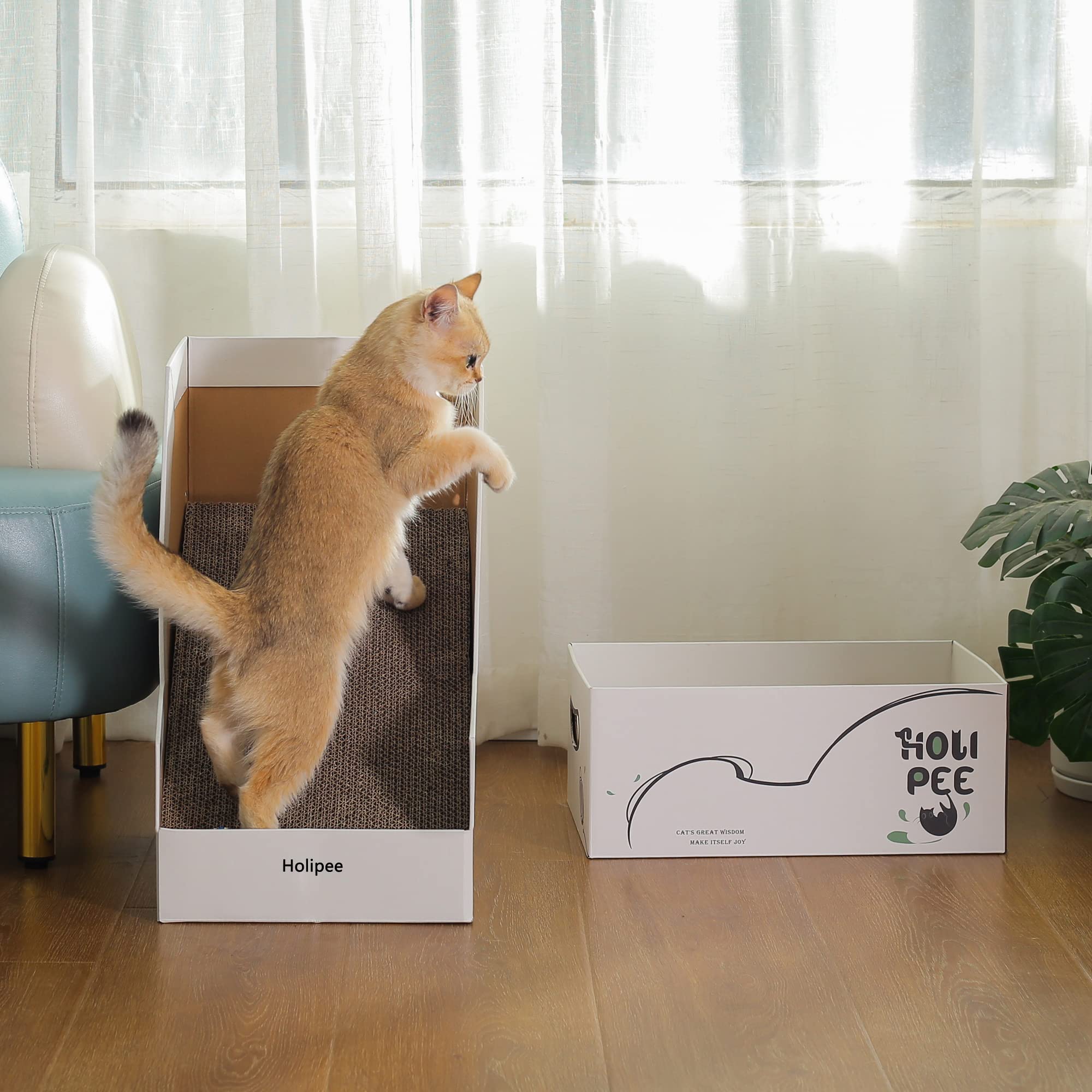 2 Sided Vertical Cat Scratching Posts with Cat Lounge House Cat Scratch ...