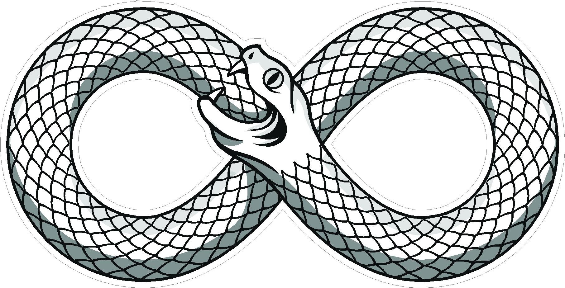 Amazon.com: Oval Infinity Snake Biting Tail 3x5 inches Life Death ...