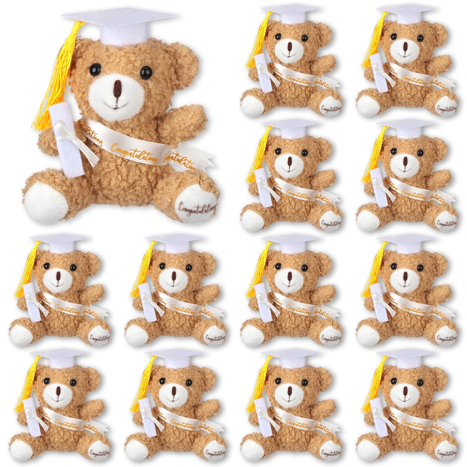 Chuangdi12 Pcs 4 Inch Graduation Stuffed Bears Bulk Graduation Plush ...